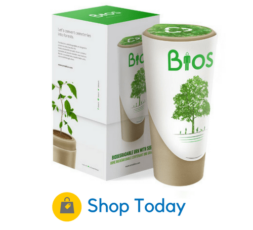Tree Urns Review: The Best 4 Bio Urns On The Market Today